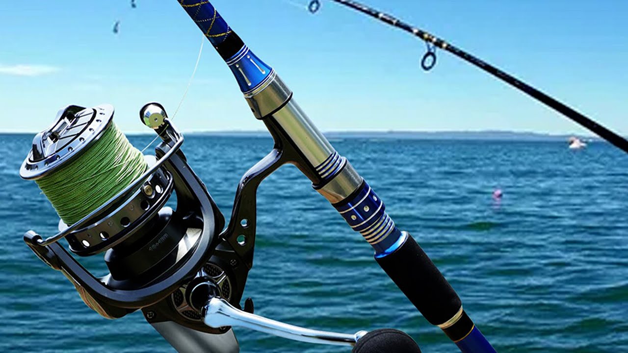 The Camper's Guide to Different Fishing Reel Types: Essential Knowledge ...