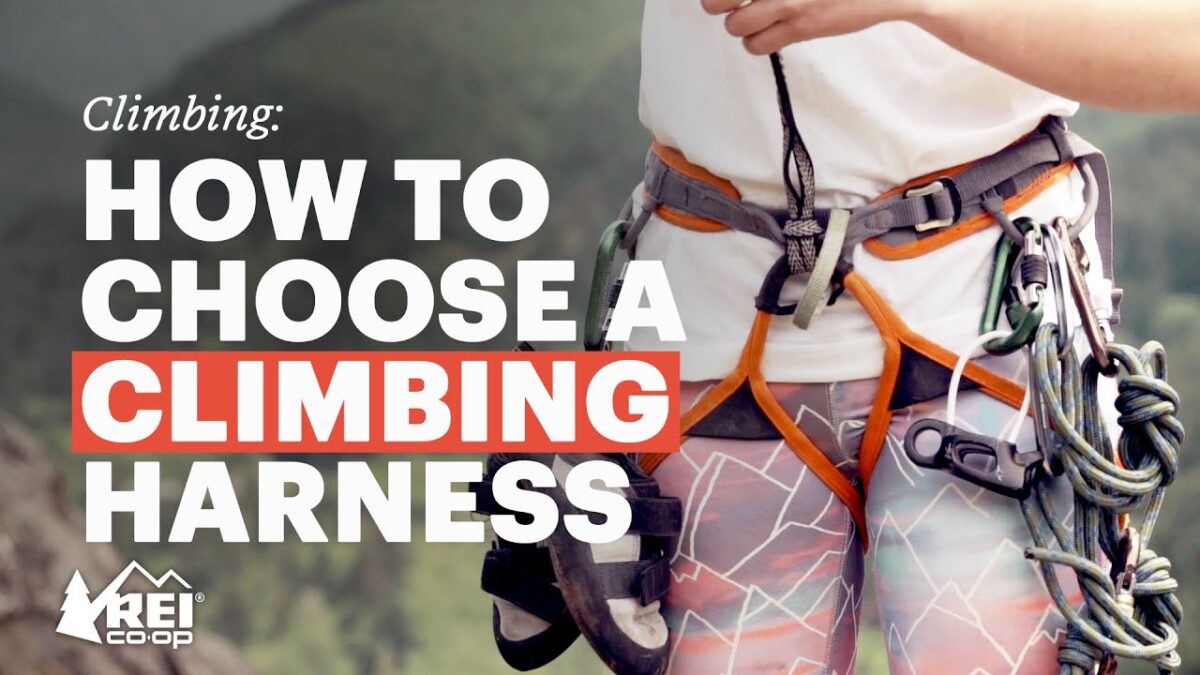 Top 10 Climbing Harnesses: Essential Picks for Safe Ascents - trekfuse.com