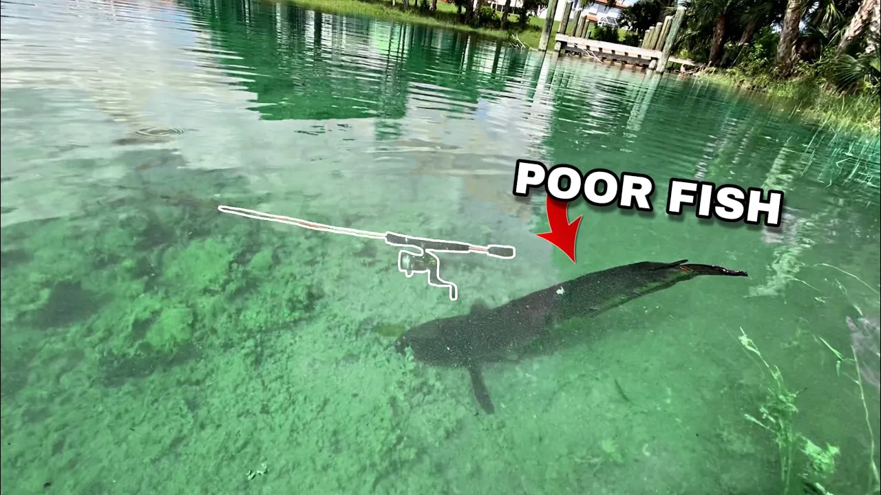 Fishing Emergencies: Expert Tips for Safety and Prevention - trekfuse.com